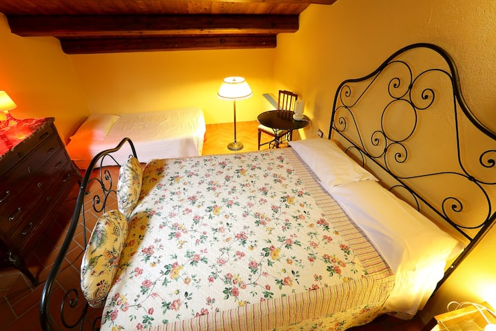 "Sangiovese" Apt In The Vineyards - Faenza