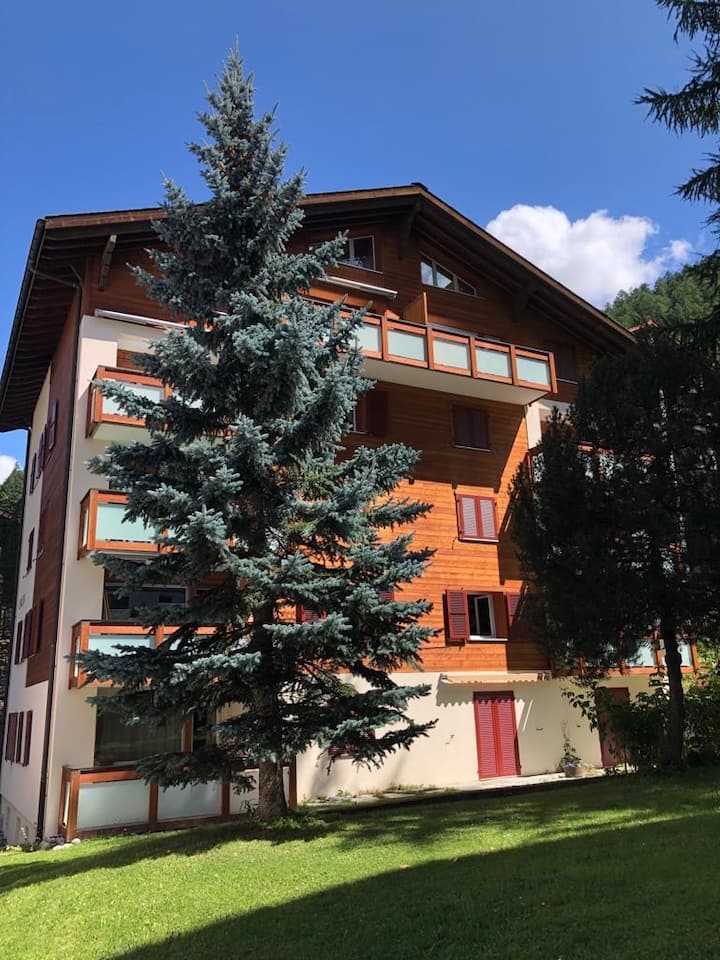 Zermatt: Confortable Appartement Près De Sunnegga - Zermatt