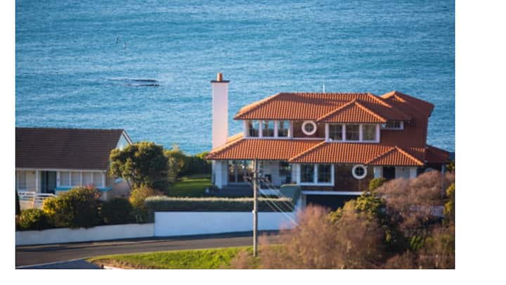 Beach Front Home With Stunning Views. - Dunedin