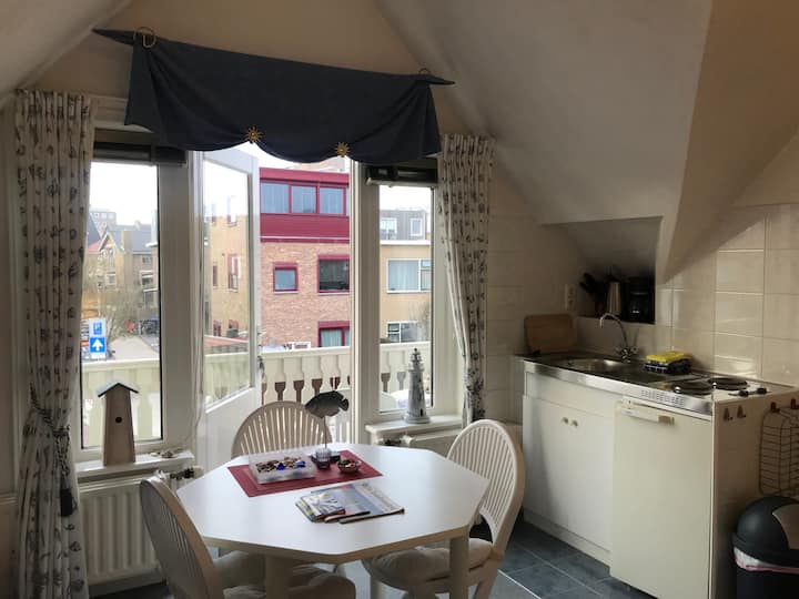 Studio Nr4 In 'N Villa 5 Min Vd Zee & Free Parking - Zandvoort
