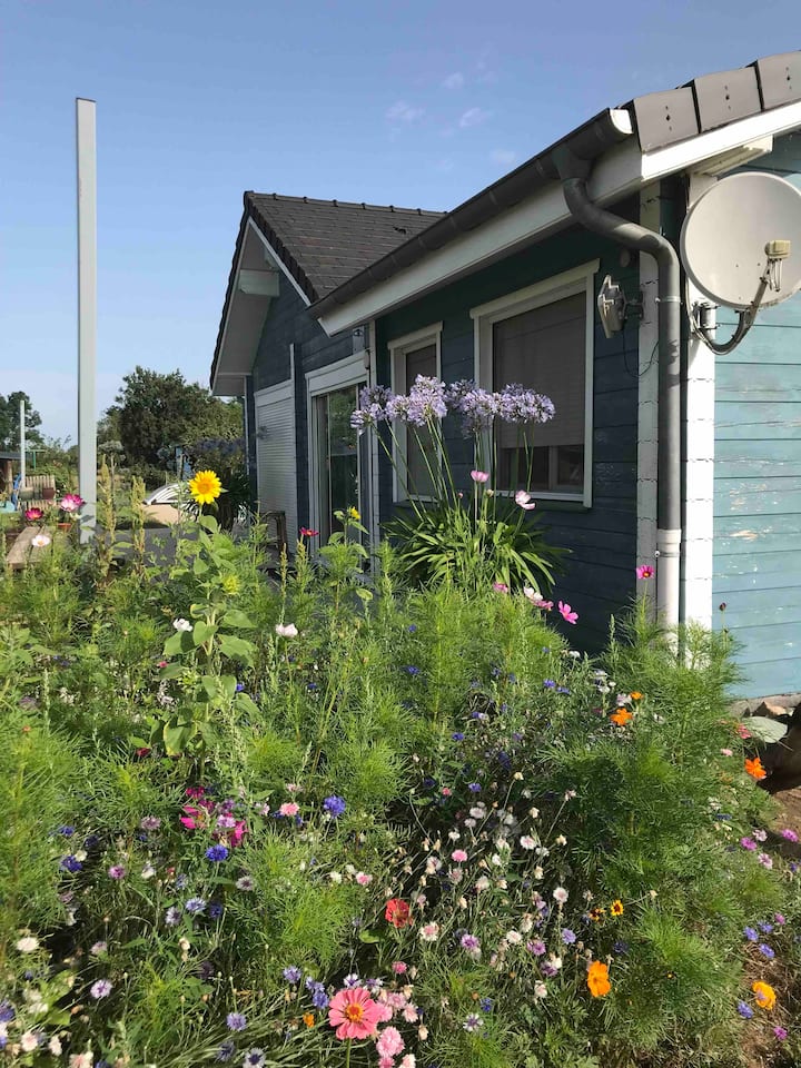 La Petite Maison Dans La Prairie - Tournus