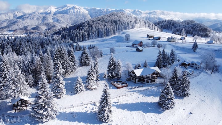 La Vulturi - Peisaje De Vis In Inima Naturii - Fundata