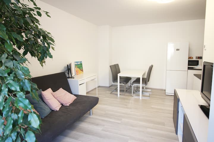 Business Or Students: Quiet & Cosy - Wien