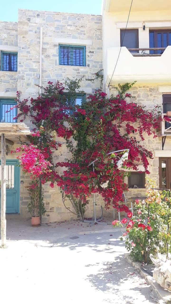 Kritikies Ariadni Apartment - Pitsidia