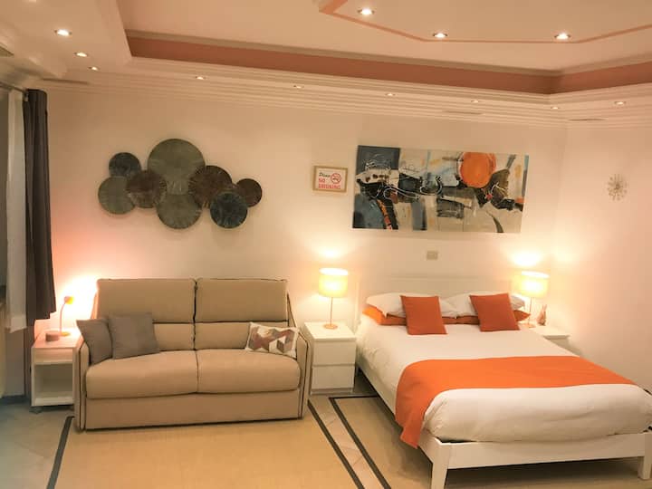 Large Studio Apt 700m From Style Outlets Vicolungo - 巴洛科