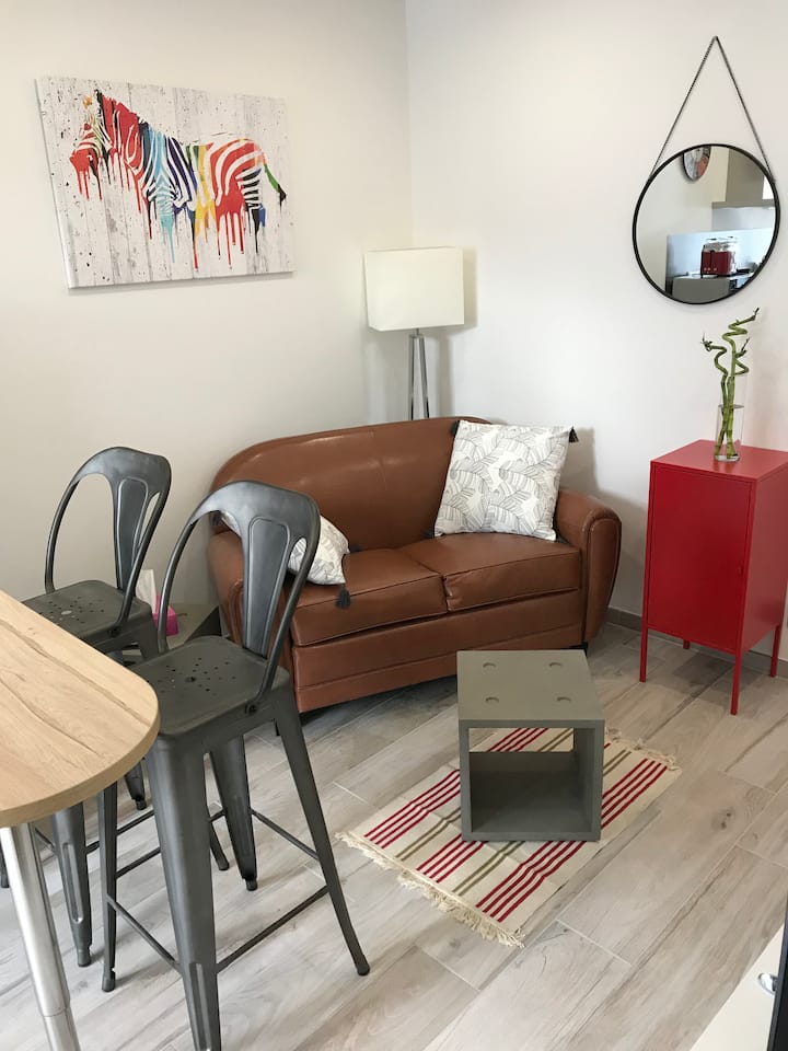 Studio Centre Ville Darcy - Dijon