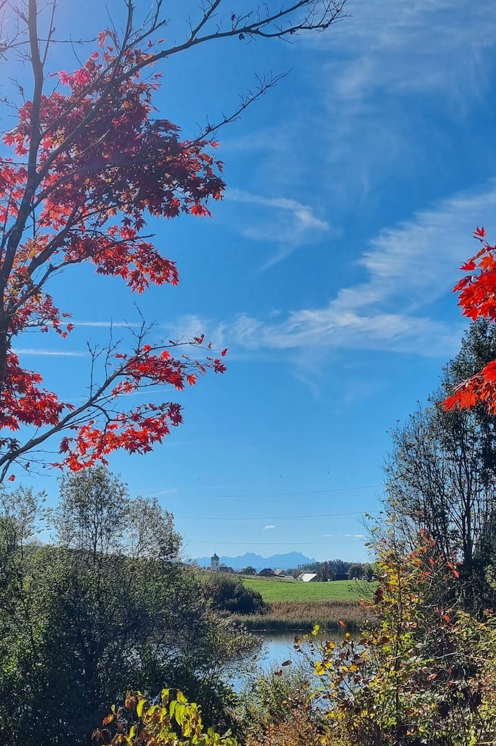 Familienurlaub Allgäu / Bodensee - 1 Schlafz. - Wangen im Allgäu