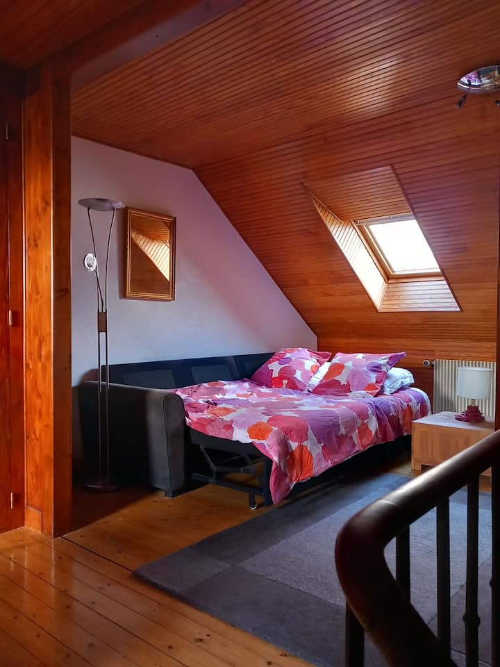 Chambres Spacieuses, Proche Gare - Le Mans