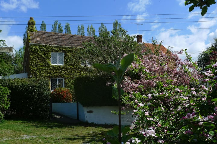 Daffodil Cottage - Bruton