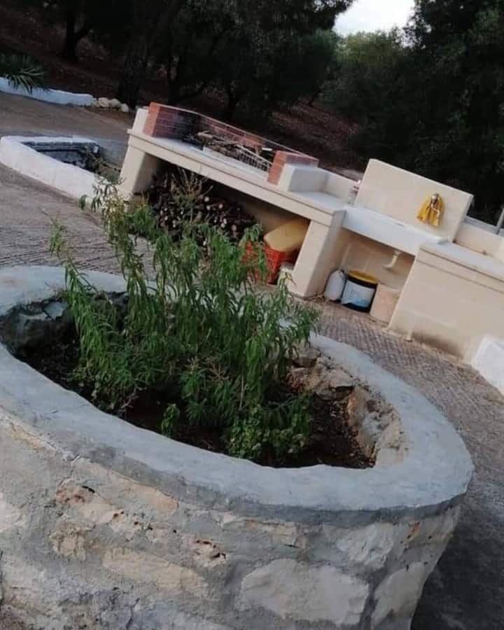 Trullo Immerso Nel Verde - Francavilla Fontana
