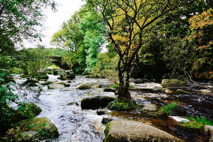 Bench Tor Apartment @Badgers Holt, Dartmeet - Dartmoor Forest