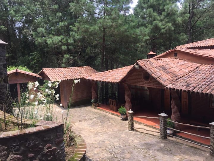 Cabaña Grande En Bosque Mazamitla - La Manzanilla de La Paz