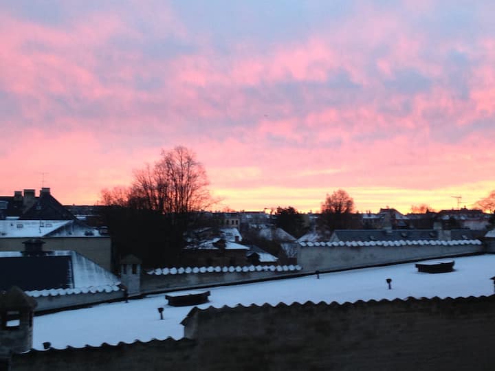 Central Beliggenhed På ØSterbro - Kopenhag