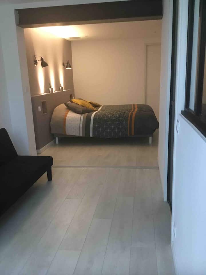 Chambre Individuelle Et Indépendante Dans Villa - Castanet-Tolosan