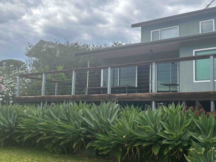 Blue Wren - Cape Jervis