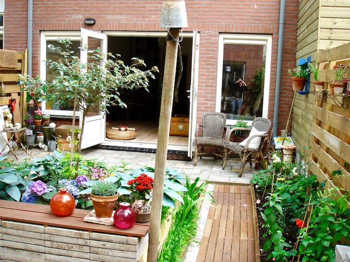 Fantastic Ground Floor Apartment In The Center! - Amsterdam