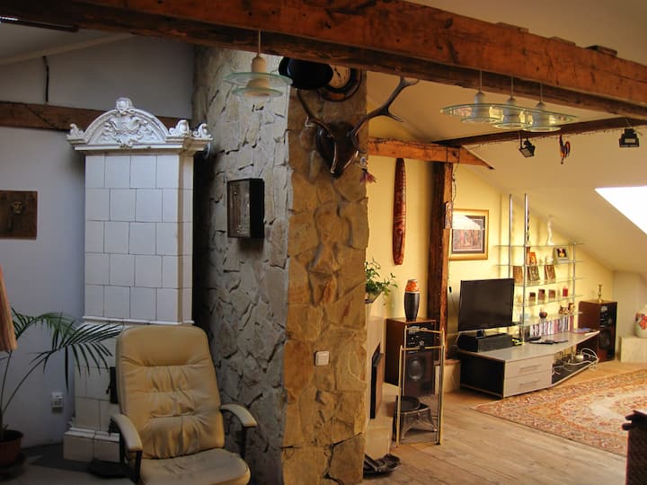 Penthouse In Downtown - Lwów