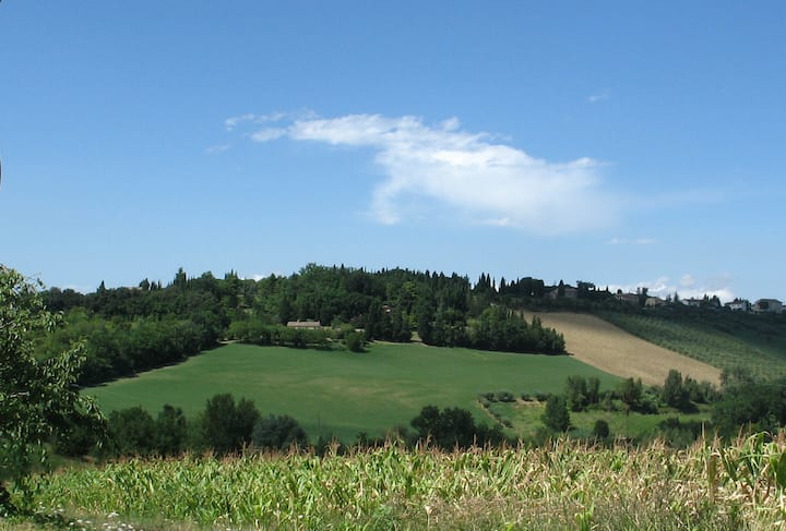 Appartamento Con Verandina In Agriturismo Floriani - Macerata