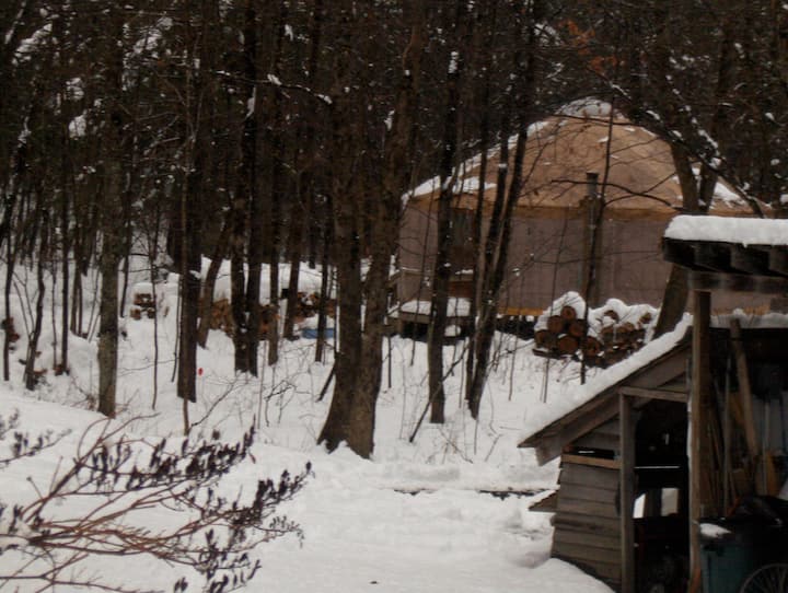 Top 13 Yurts In Vermont, USA - Updated 2024 | Trip101