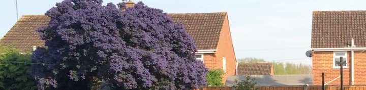Charmantes, Gemütliches, Typisch Englisches Haus - Gloucestershire