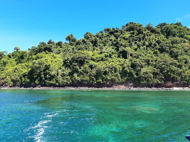 Bungalow Face à La Piscine Aux Tortues ! - Madagascar