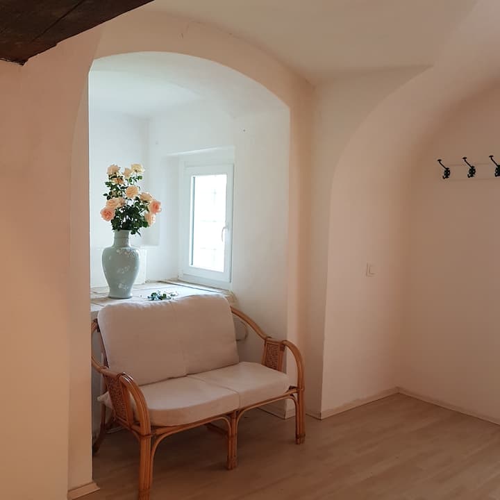 Haus Parkfrieder (Apartment Mit Parkblick) - Eisenstadt