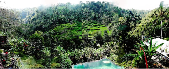 Tirta Asri Ubud, Tranquil Retreat - Ubud
