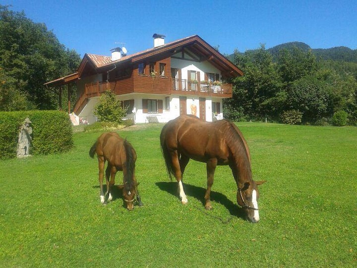 Green Valley - Relax Nella Natura - Baselga di Pinè