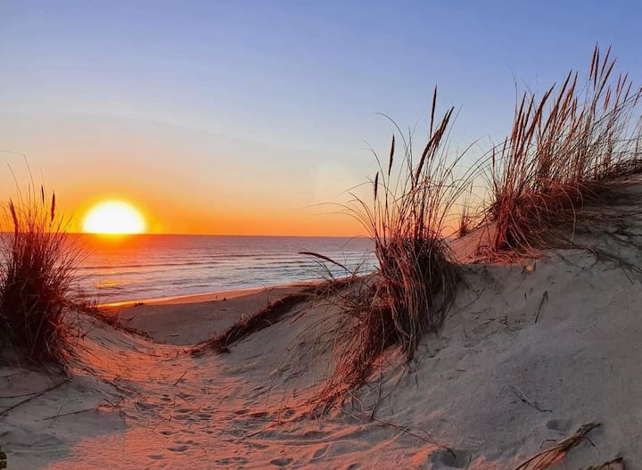 Maison Climatisée à 800 M Des Plages Et Commerces - Mimizan
