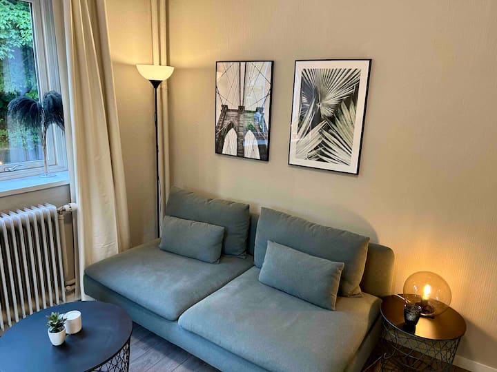 Cozy Studio,full Kitchen & Easy Access To Downtown - Oslo