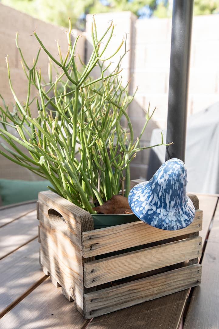 Tiny House  Living, With Large Gardens! - Phoenix, AZ