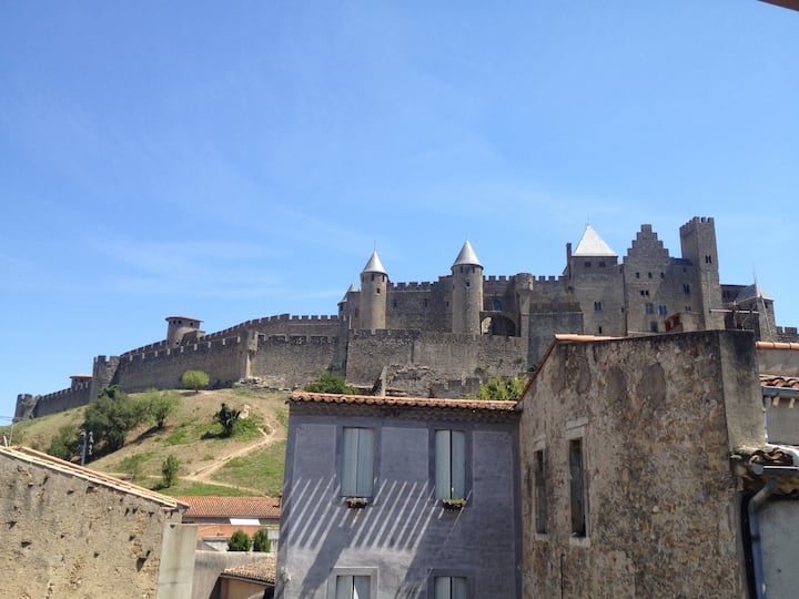 Charmant T2 Sous Les Toits Avec Vue Sur La Cité - Musée des Beaux-Arts de Carcassonne