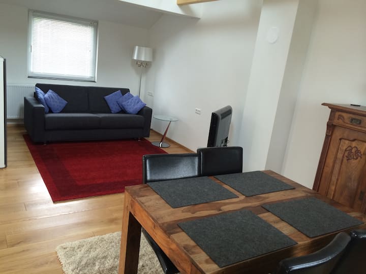 Schönes Studio In Ruhiger Lage 15 Min. Ins Zentrum - Stuttgart
