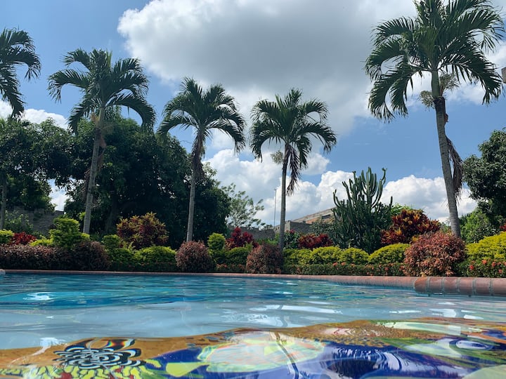 San Francisco De Asis - Palmira