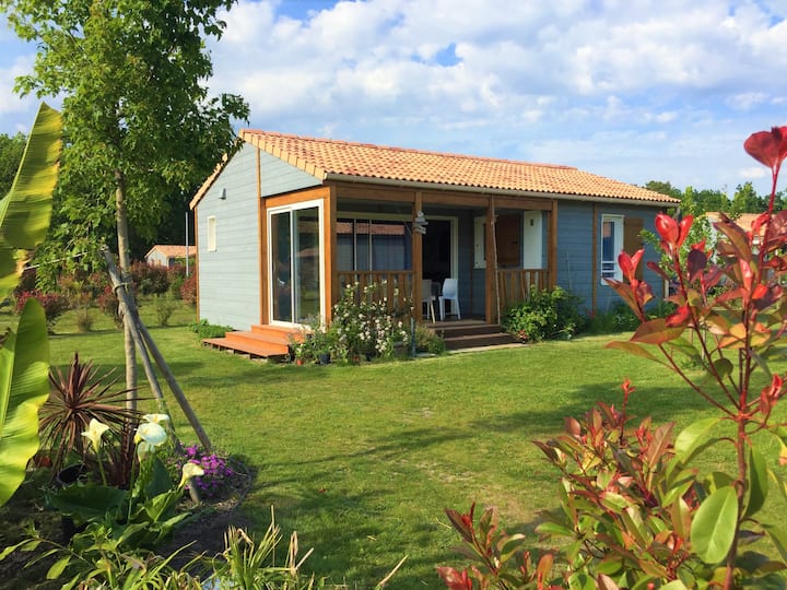 Chalet T4 Dans Parc Avec Piscine, Bbq, Jeux - Hourtin