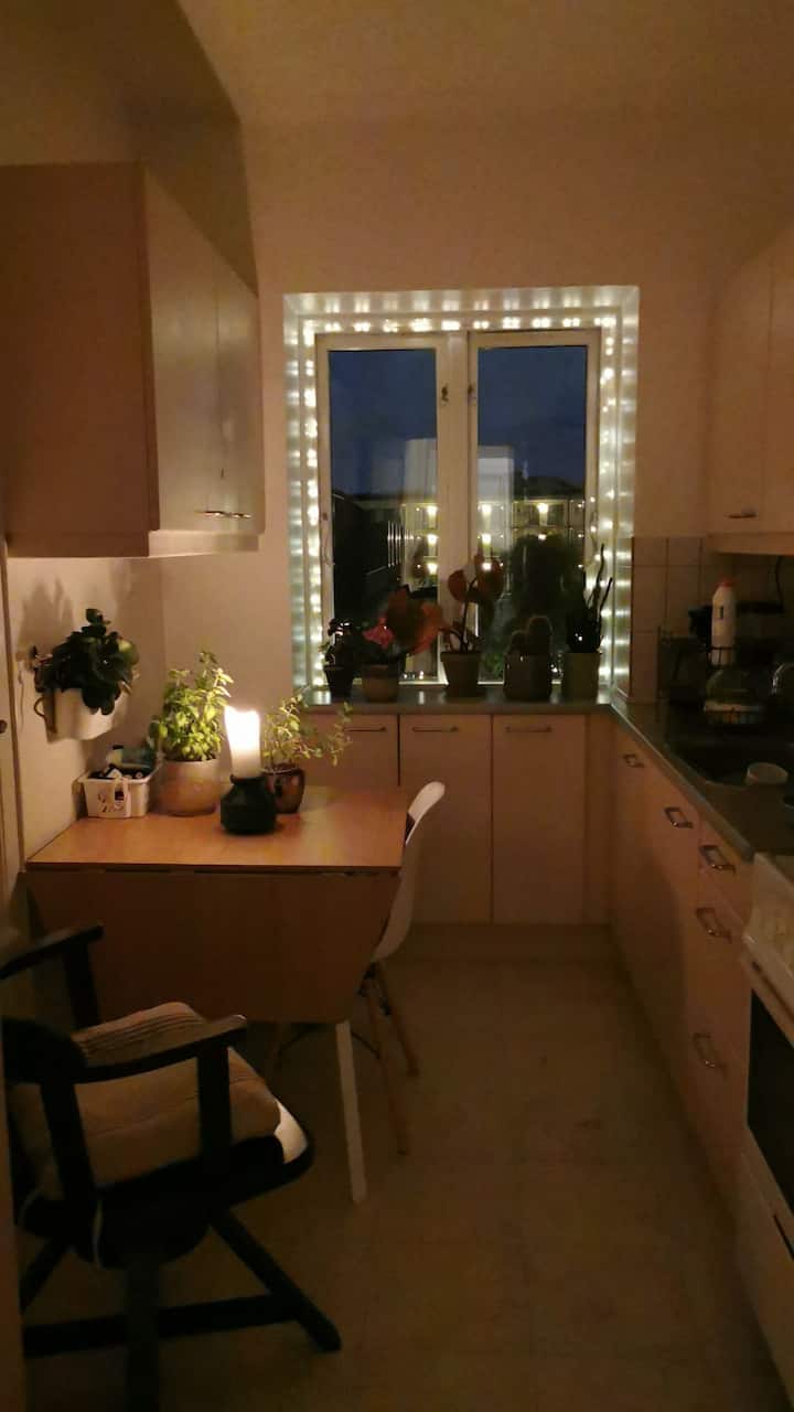 Copenhagen Apartment. Cosy And Close To Inner City - Kopenhagen