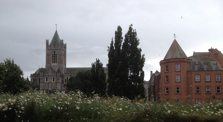 Quiet Town House In The Centre Of Dublin City. - Dublin