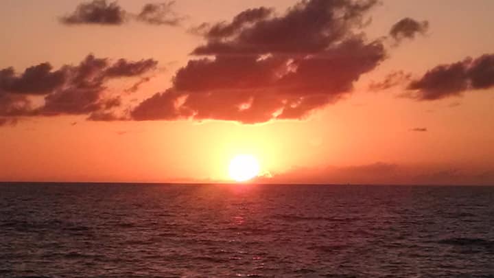 A Slice Of Happiness - Miami Beach, FL