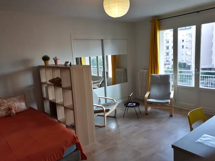 Joli T1 Rénové,  Calme Et Lumineux - Grenoble