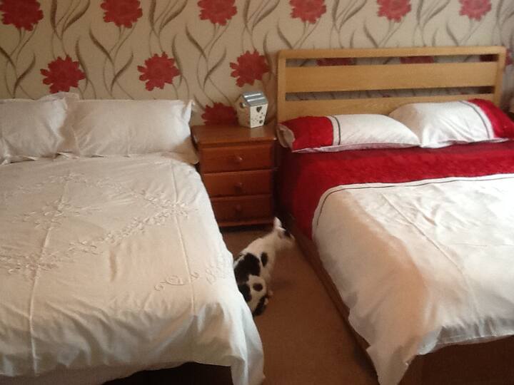 Private Suite - Shepton Mallet