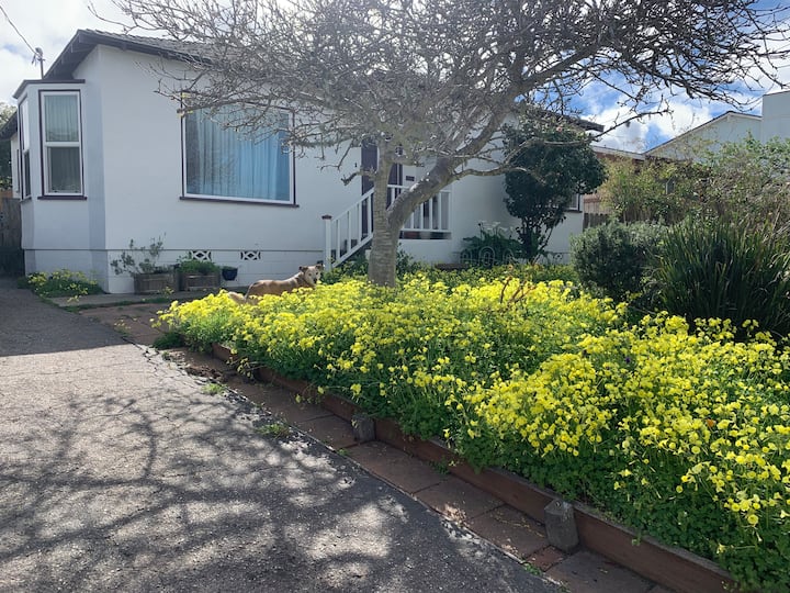 Aloha Central Coast!  A Revitalizing Getaway - Montana