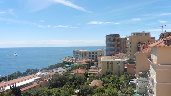 Deux Pièces Surplombant Monte Carlo Country Club - Monaco