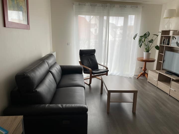 Les Mésanges: 
Duplex Très Calme - Caen