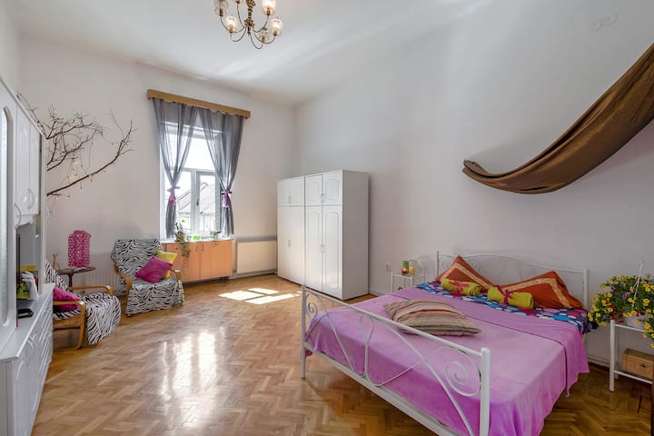 Au Beau Milieu Du Centre Ville ;) - Cluj-Napoca