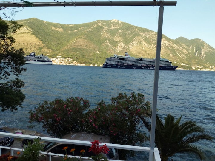 Tanja Apartment 1 - Kotor
