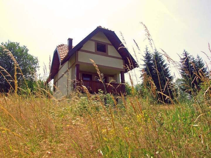 Mountain House Thalia - Bajina Bašta