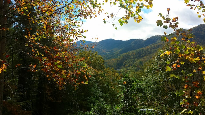 3bd/3ba Townhome With Balsam Mt View - Waynesville, NC