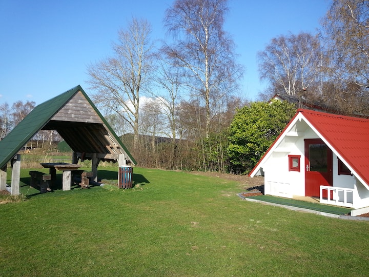 Chalet 3 Oegenbos / Vliegveld Teuge - Apeldoorn