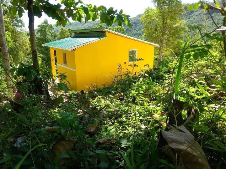 La Petite Maison Jaune - Haiti