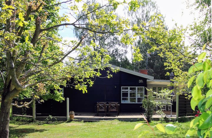 Hyggeligt, Veldisponeret Sommerhus Til 5 Personer - Denmark